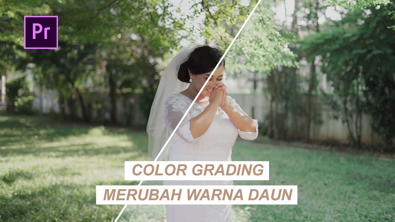 COLOR GRADING Cara Merubah Warna Daun | Sony Camera - YouTube