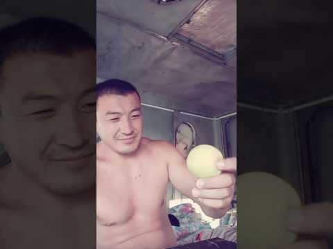 bobur brat atvet ahmat va Jamshidga 😱