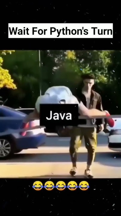 Wait For Pythons ๐python Programminghumor Codingmemes Techcomedy