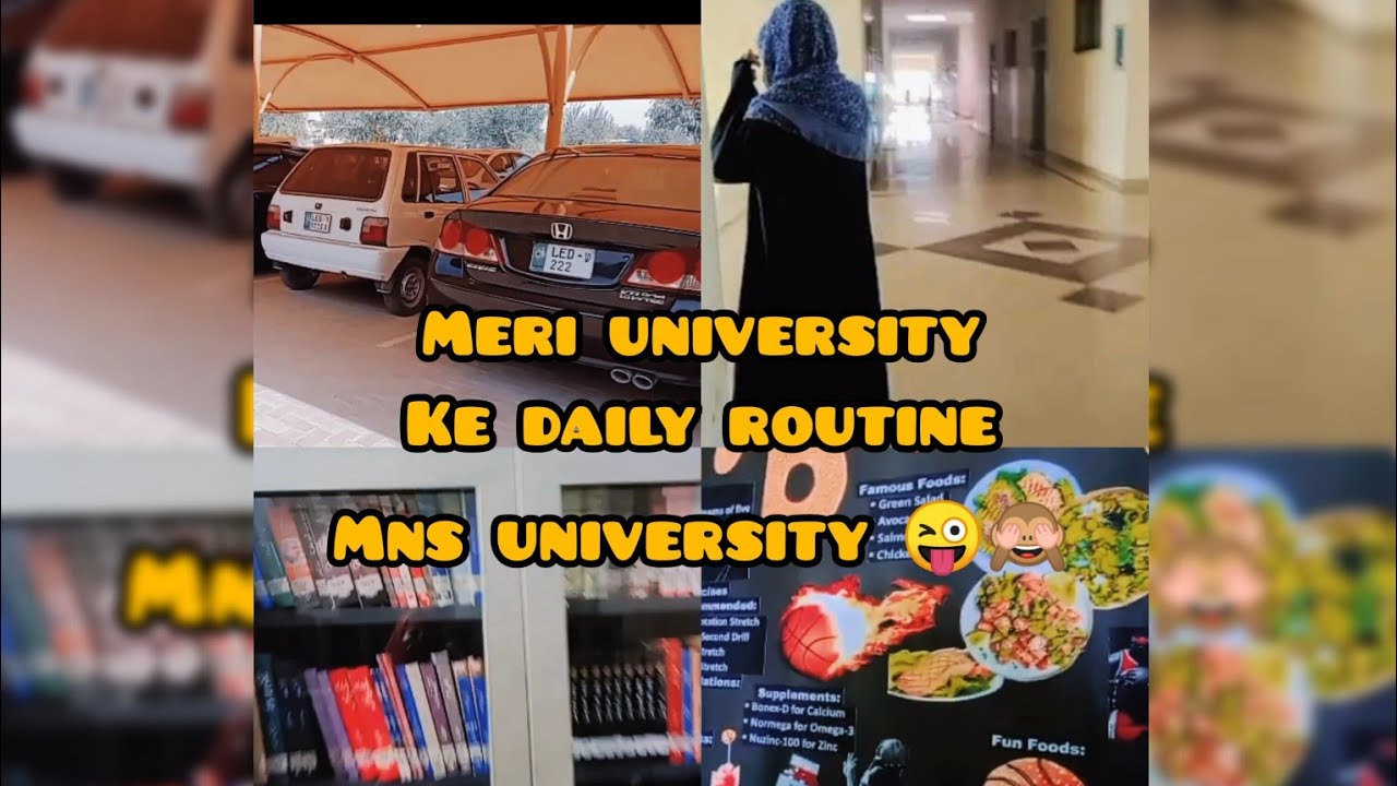 ap SB dkha Meri university|| Mns university of agriculture multan ...