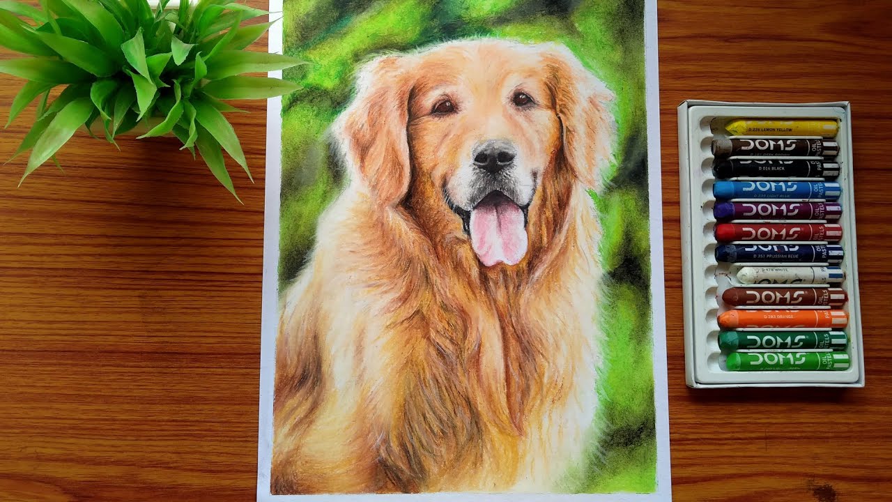 Dog Drawing With Oil Pastel Colours - YouTube