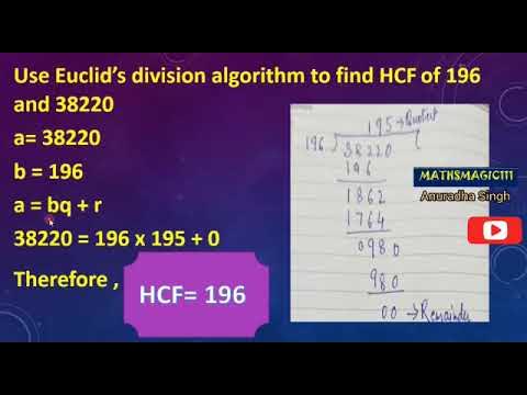 Use Euclid’s division algorithm to find HCF OF 196 AND 38220// classXNCERT #trending # ...