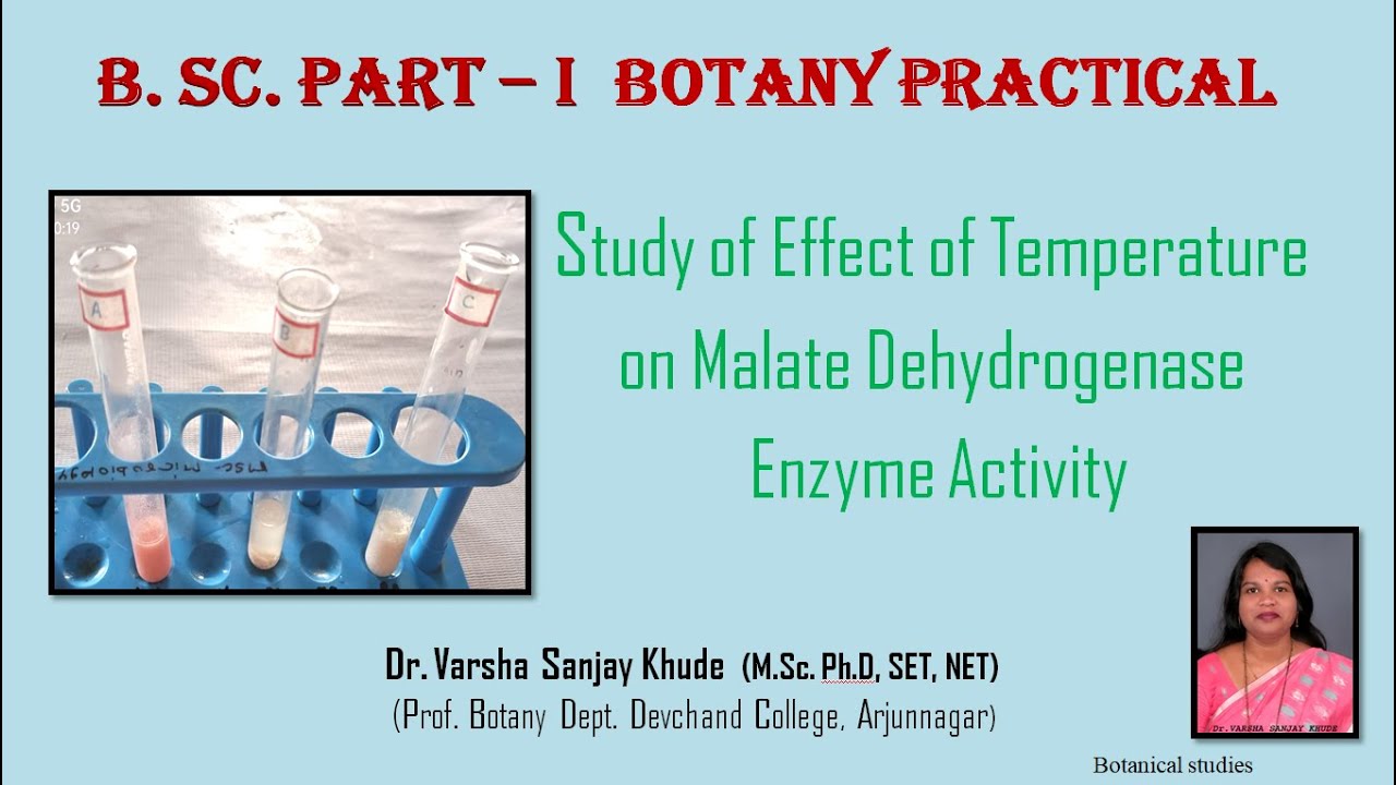 Study of Effect of Temperature on Enzyme Malate Dehydrogenase Activity ...