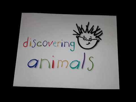 Baby Einstein Discovering Animals - YouTube