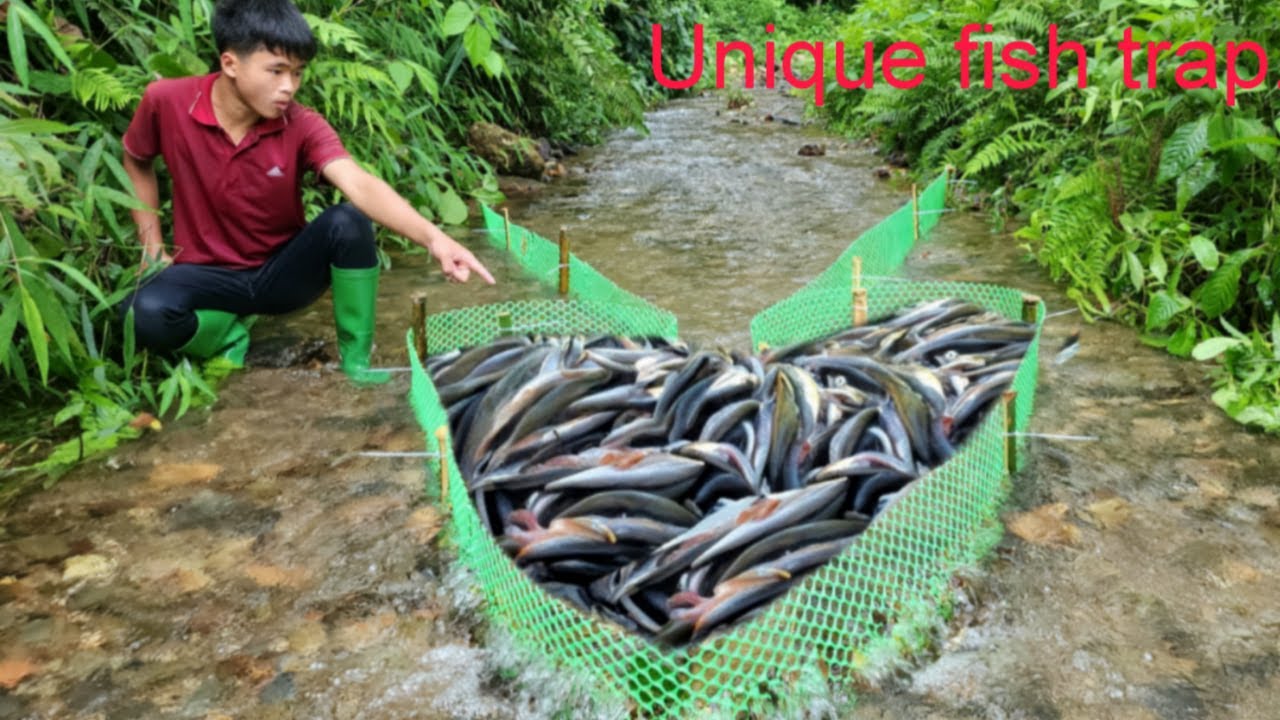 Detailed video of 45 days of making a fish trap in the stream with a ...