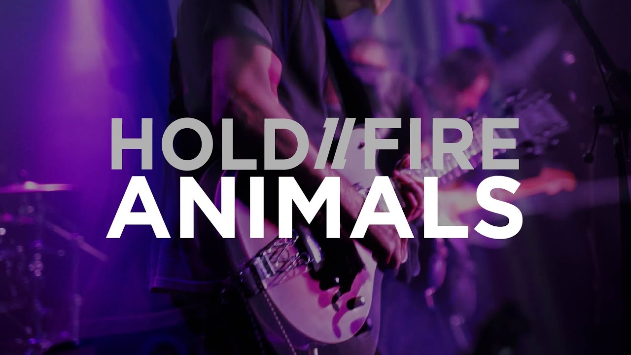 HOLD//FIRE - Animals - YouTube