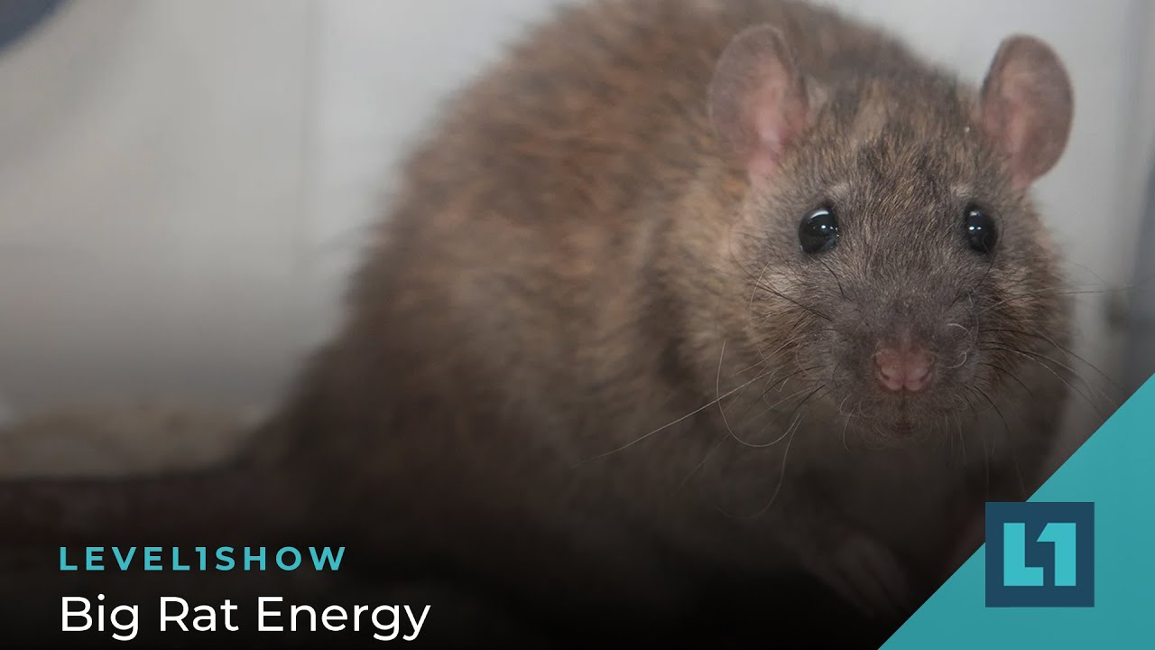 The Level1 Show March 1 2024: Big Rat Energy - YouTube