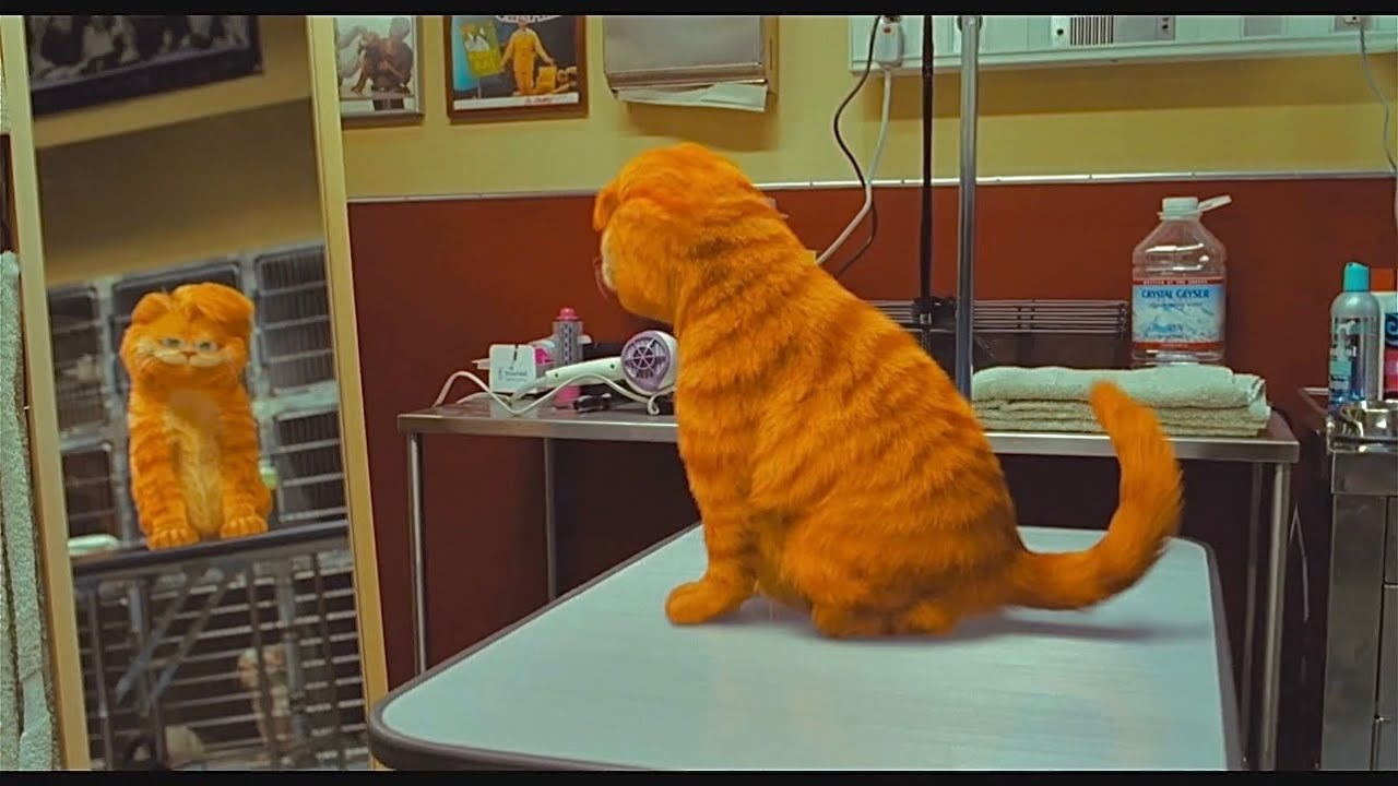Garfield: Mirror Scene (2004) - YouTube