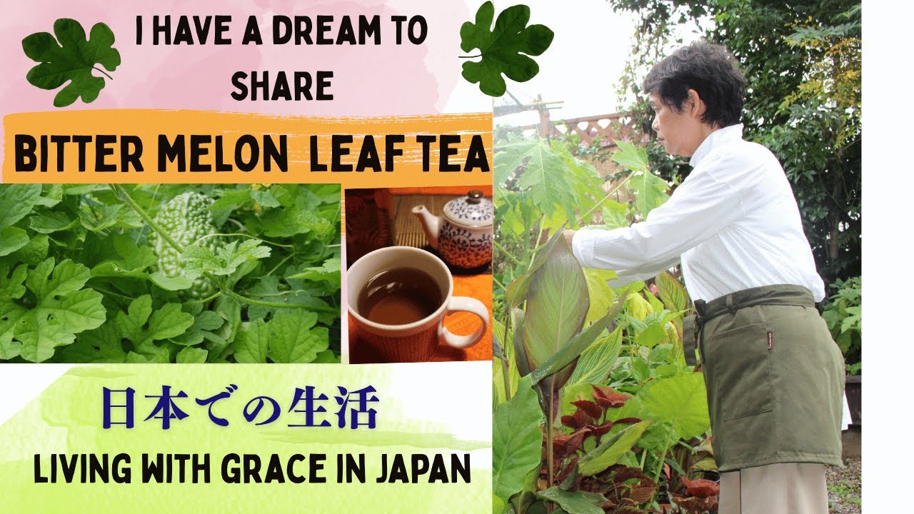 Retirement Life in Japan: From Bitter Melons to Sweet Dreams - YouTube