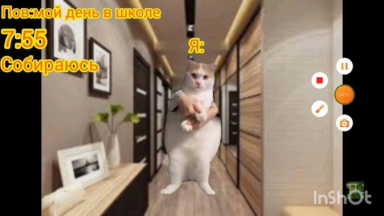 кошачья жизнь 1 серия 1 сезон - YouTube