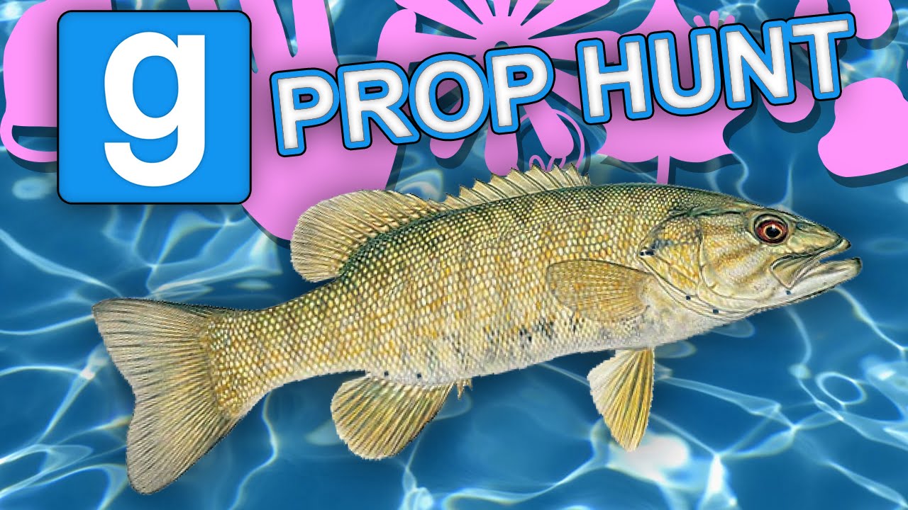 Floppy Fish Adventure (Garry's Mod Prop Hunt) 18+ (HD) - YouTube