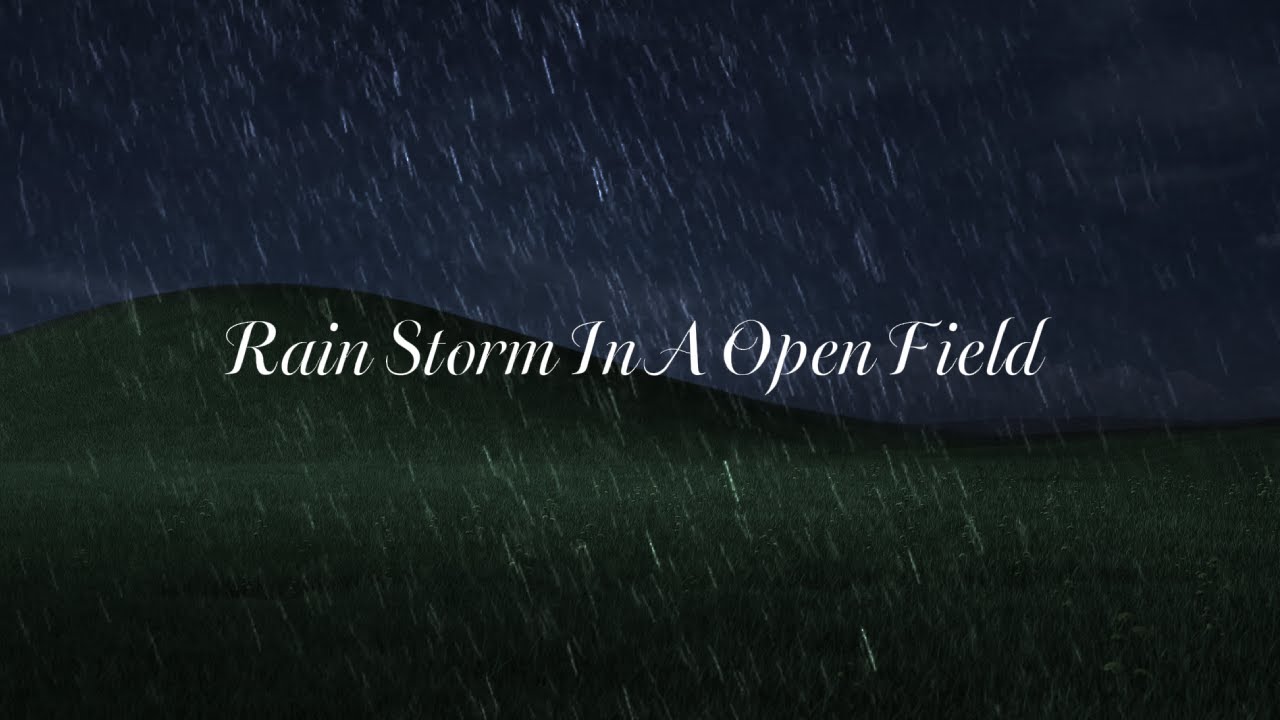 Caught in a Rainstorm 🌧️ | Open Field Ambience & Natural Rain Sounds ...