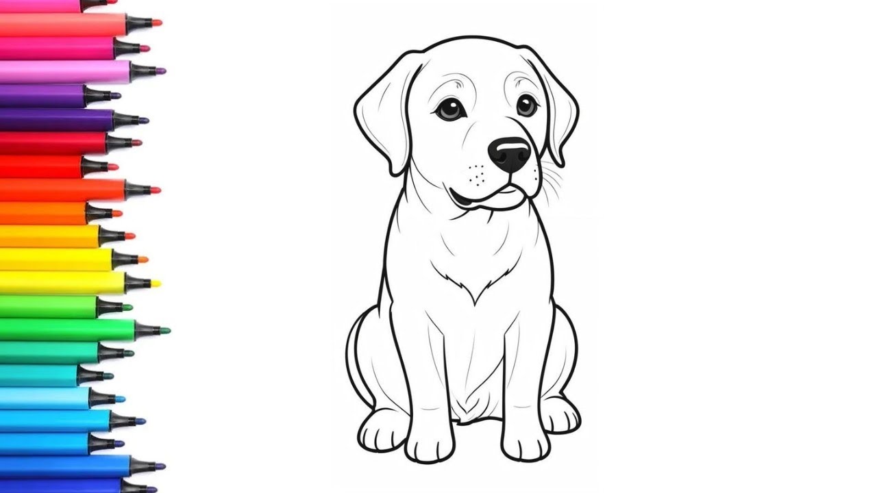 How To Draw Labrador Retriever - YouTube