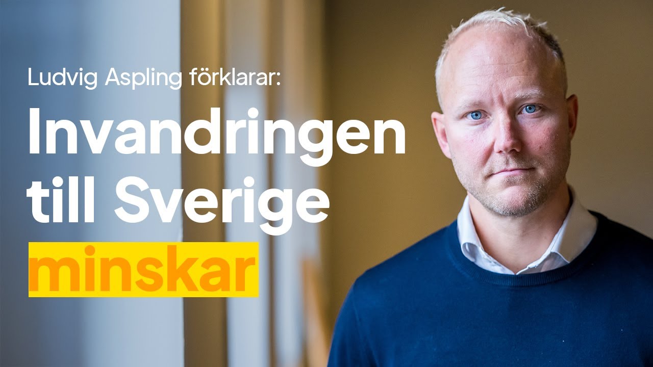Invandringen till Sverige minskar – Ludvig Aspling förklarar - YouTube