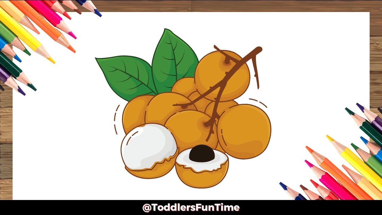 How to Draw a Lychee Sketch for Toddlers kids easy step by step ...
