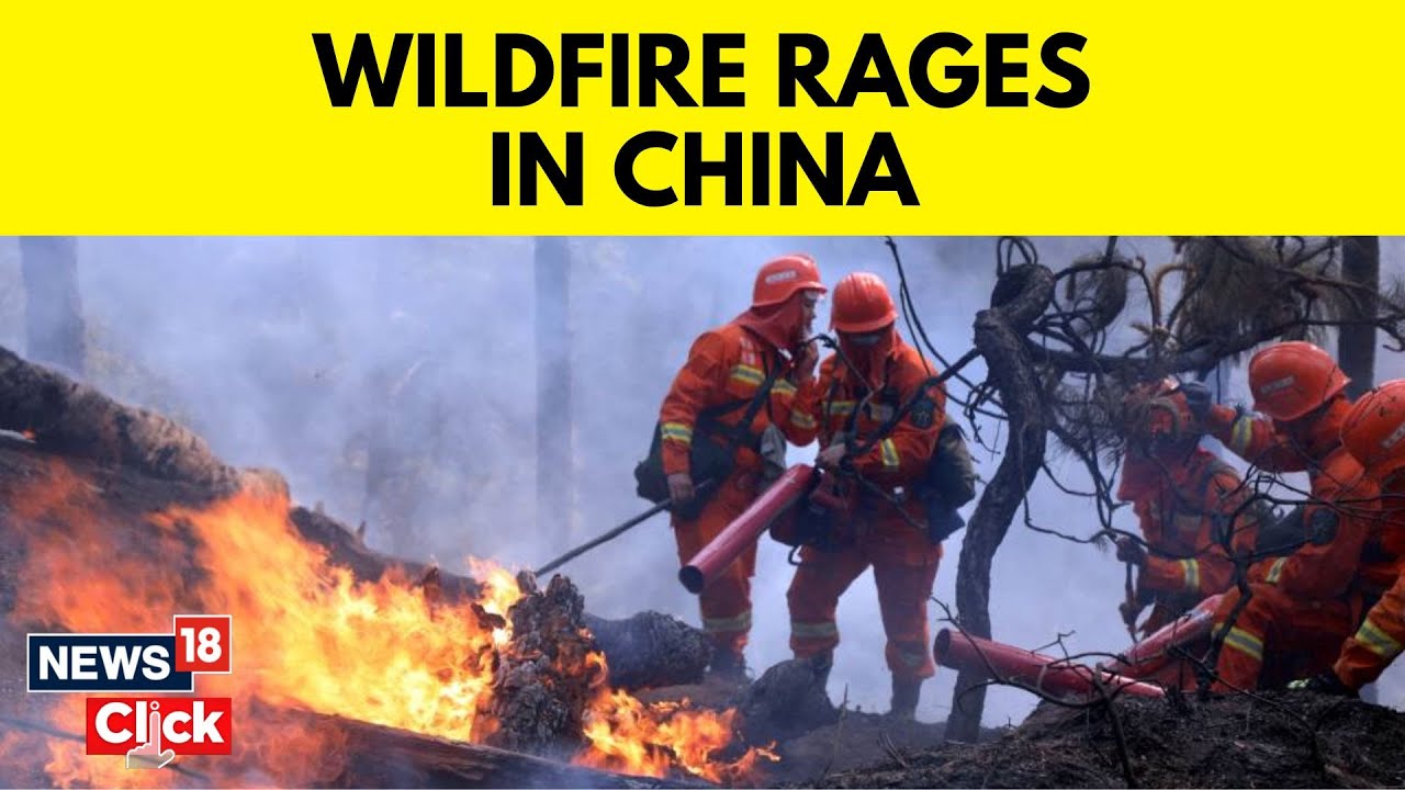 Sichuan Wildfire | Wildfire Rages In Southwest China As 1000 ...