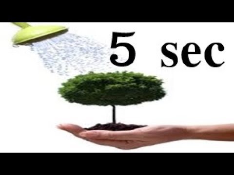 Water the tree in 5 sec