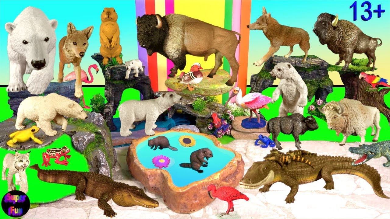 Wild Zoo Animals - Coyote, Alligator, Polar Bear, Beaver, Bison, Bobcat ...