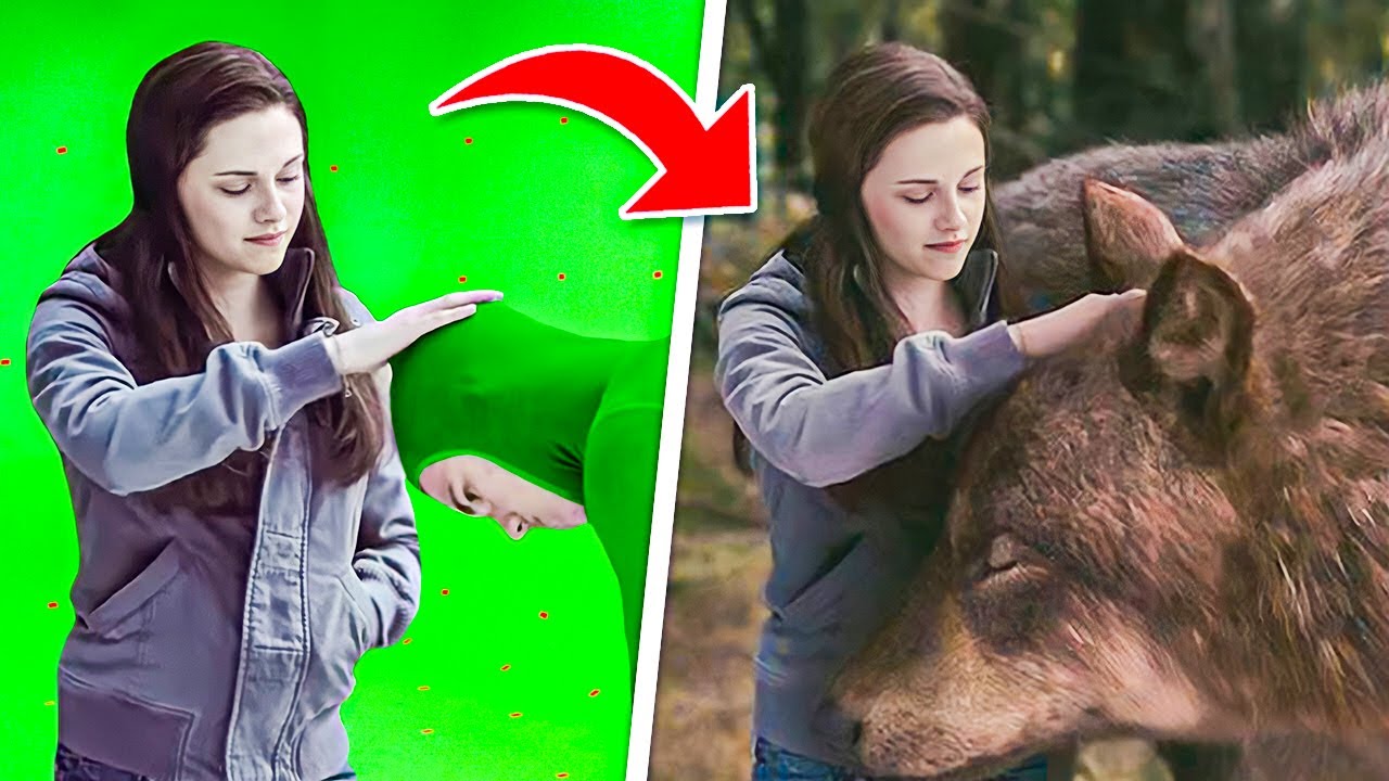 What Would Bella Look Like As A Werewolf