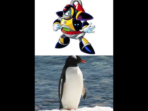 Megaman X All Boss in real life