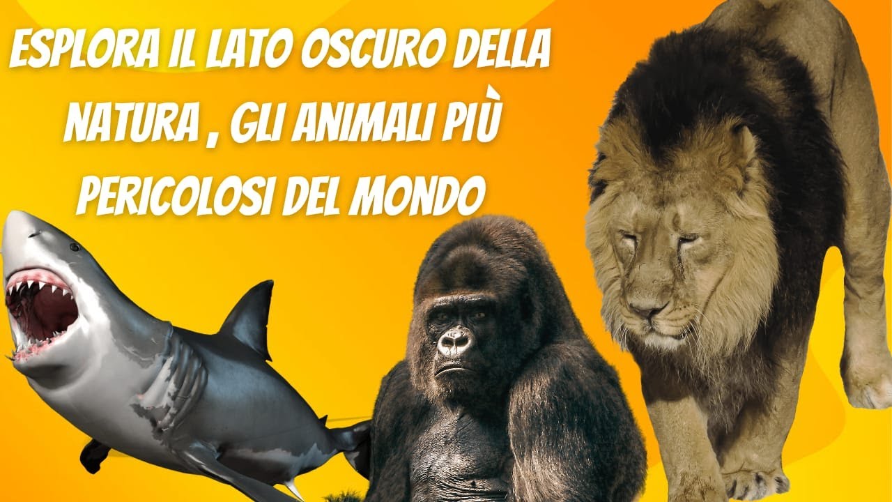 Pericoli Selvaggi, gli Animali più Letali della Natura - YouTube