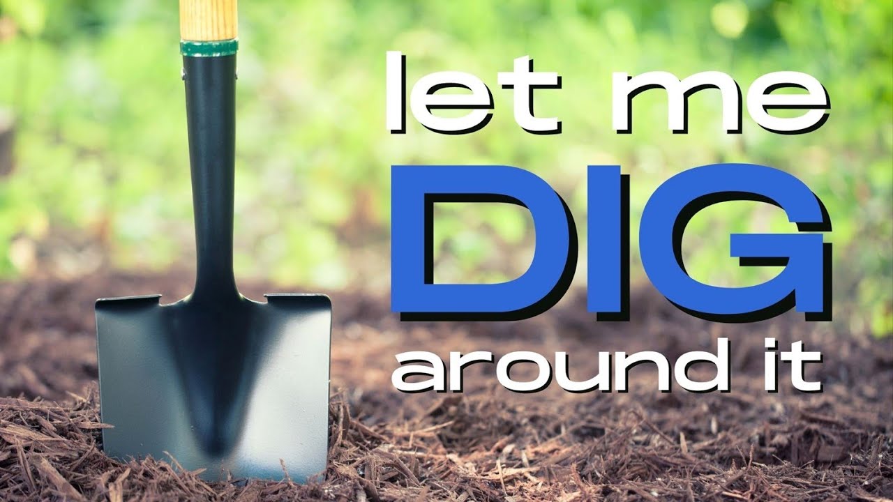 Let Me Dig Around It - 3/9/2024 - YouTube
