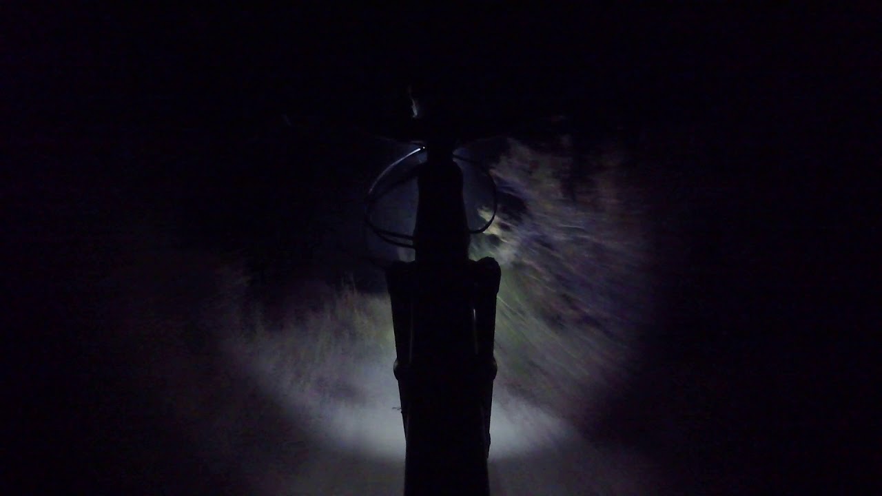 fern trail at night - YouTube