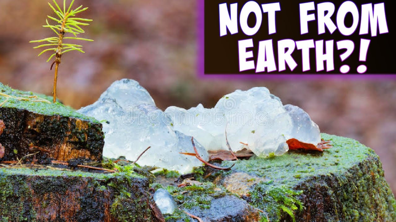 The Secret Truth About Star Jelly! - YouTube