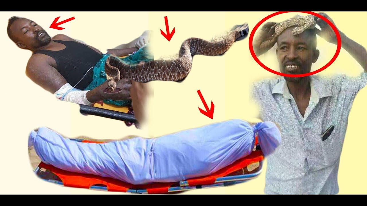 NAXDIN IYO MURUGO:Nin korsan jiray masaska iyo Abeesoyinka Muqdisho o u ...