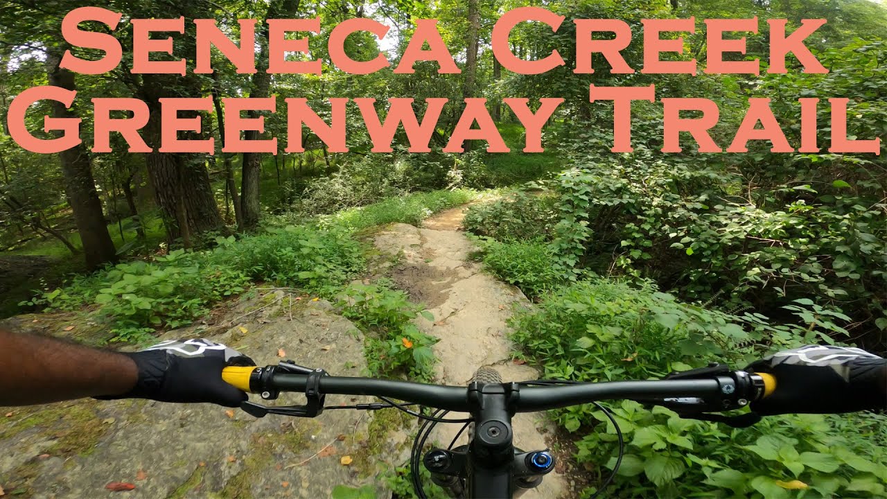 Seneca Creek Greenway Trail MTB Maryland | 2020 Trek Roscoe 8 - YouTube