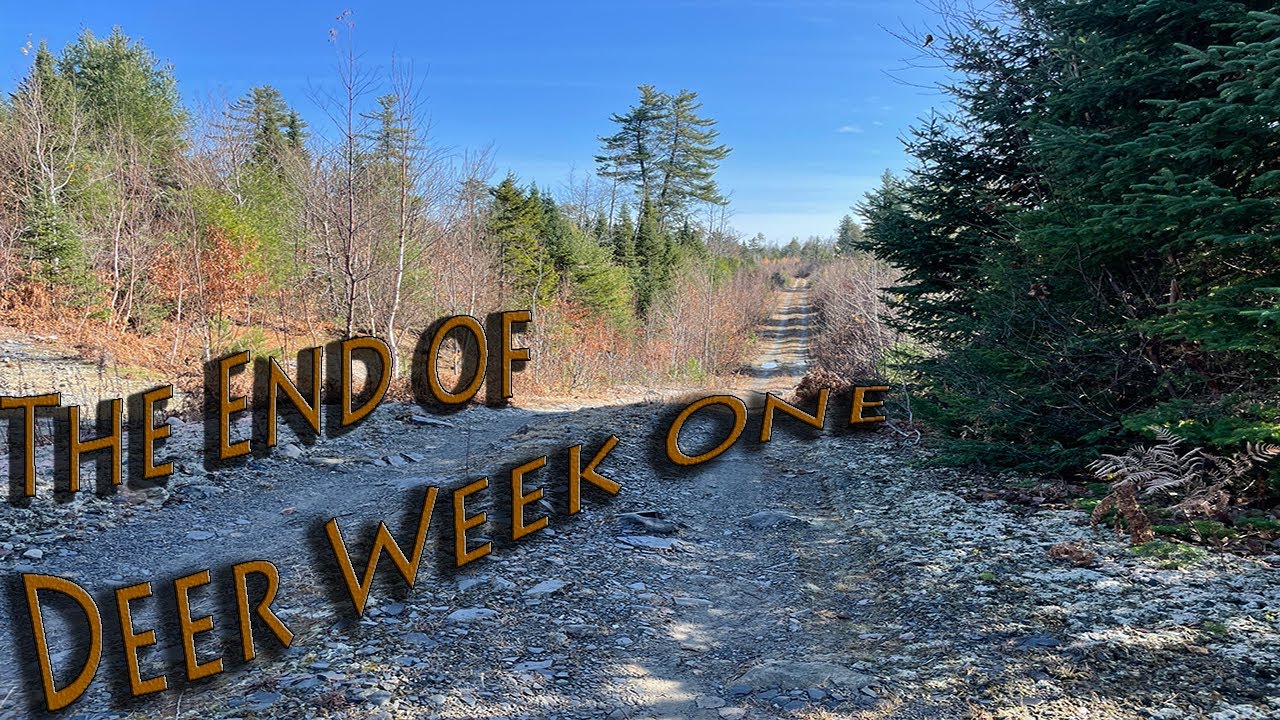 The End Of Deer Week One - YouTube