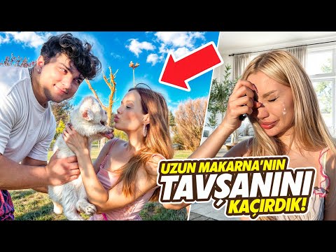 UZUN MAKARNA'NIN TAVŞANINI GİZLİCE KAÇIRDIM ?! | Gamze Karta Goril Faruk Öykü Karta