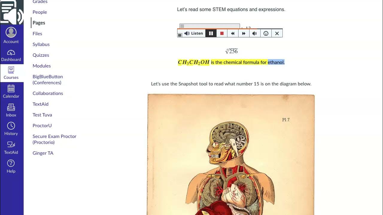 Using ReadSpeaker to read STEM content in Canvas - YouTube