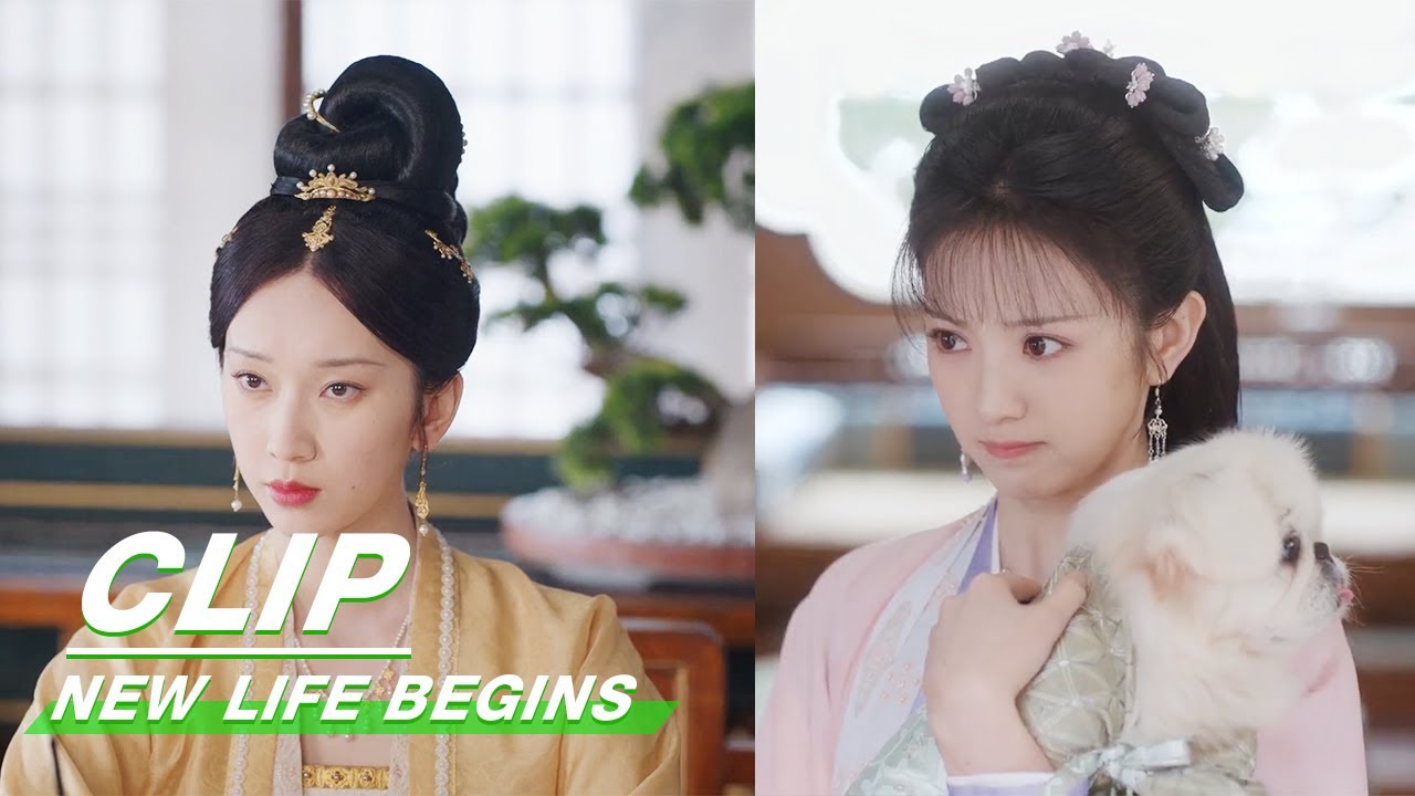 Li Wei Goes Through an Interview with Yuan Ying | New Life Begins EP12 | 卿卿日常 | iQIYI - YouTube