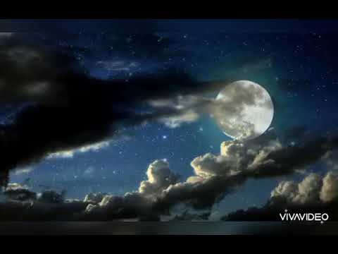 Chanda Mama Se Pyara Mera Mama - Alka Yagnik WhatsApp Status