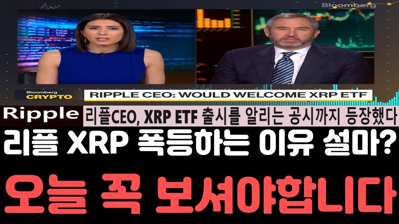 리플전망 리플 Xrp 재판소송 소식과 함께 Etf출시를 알린 리플ceo 설마 내일 오늘 영상은 꼭 보셔야합니다 리플전망 리플호재 리플급등 리플코인 리플소송