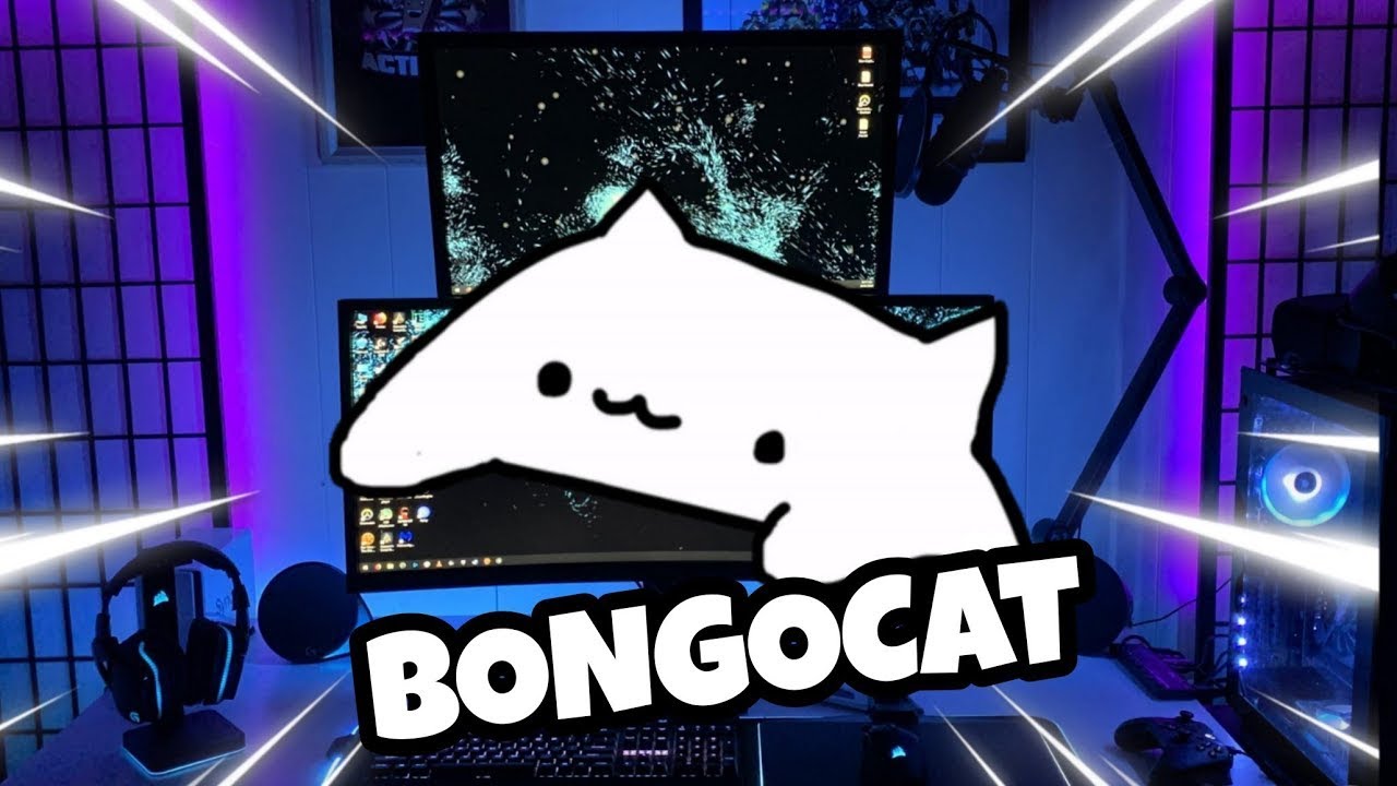 How to get OBS cat in OBs Studio! - YouTube