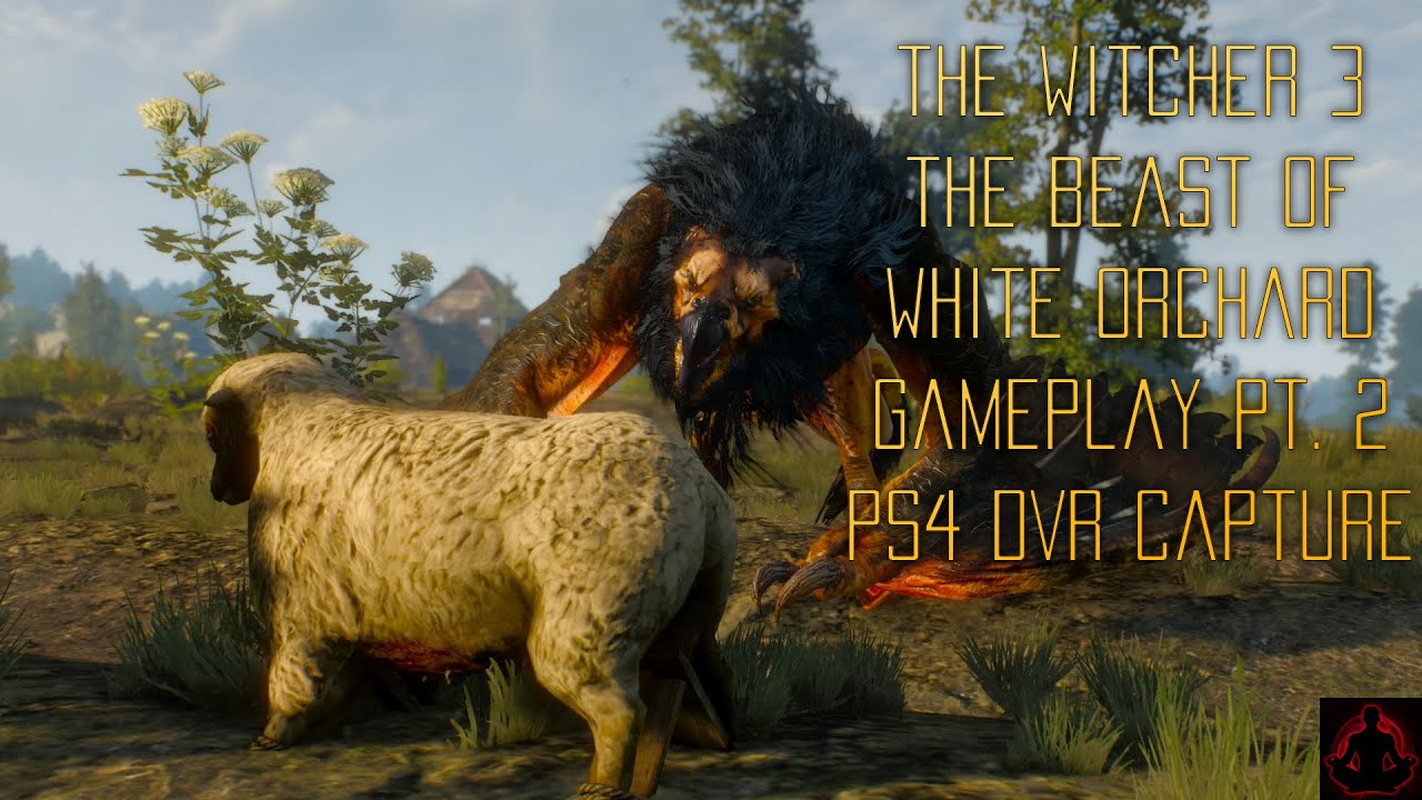 The Witcher 3 The Beast of White Orchard "Find Buckthorn" Gameplay on ...