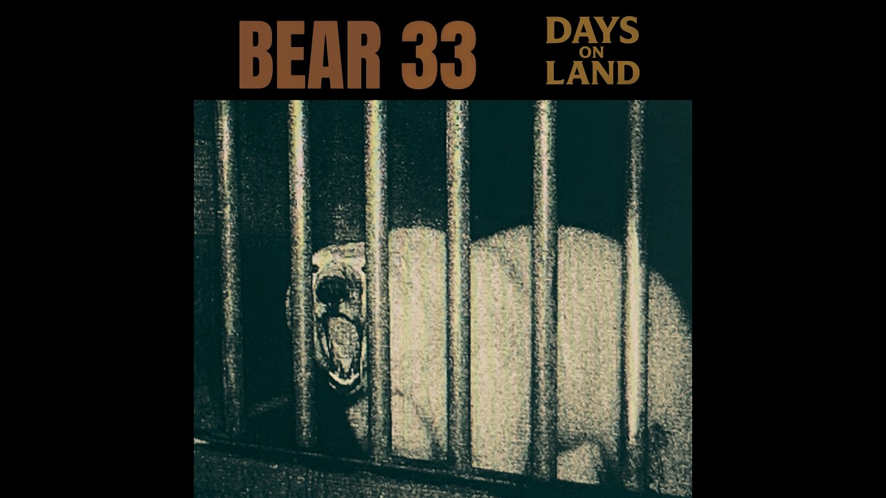 Days on Land – Bear 33 (Official Music Video) - YouTube