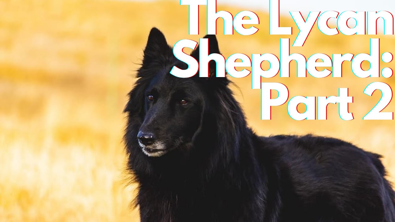 The Lycan Shepherd: Part 2 - YouTube