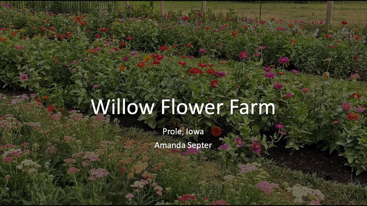 Willow Flower Farm - YouTube