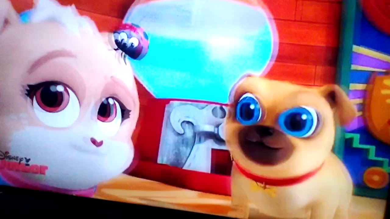 Go puppy go - YouTube