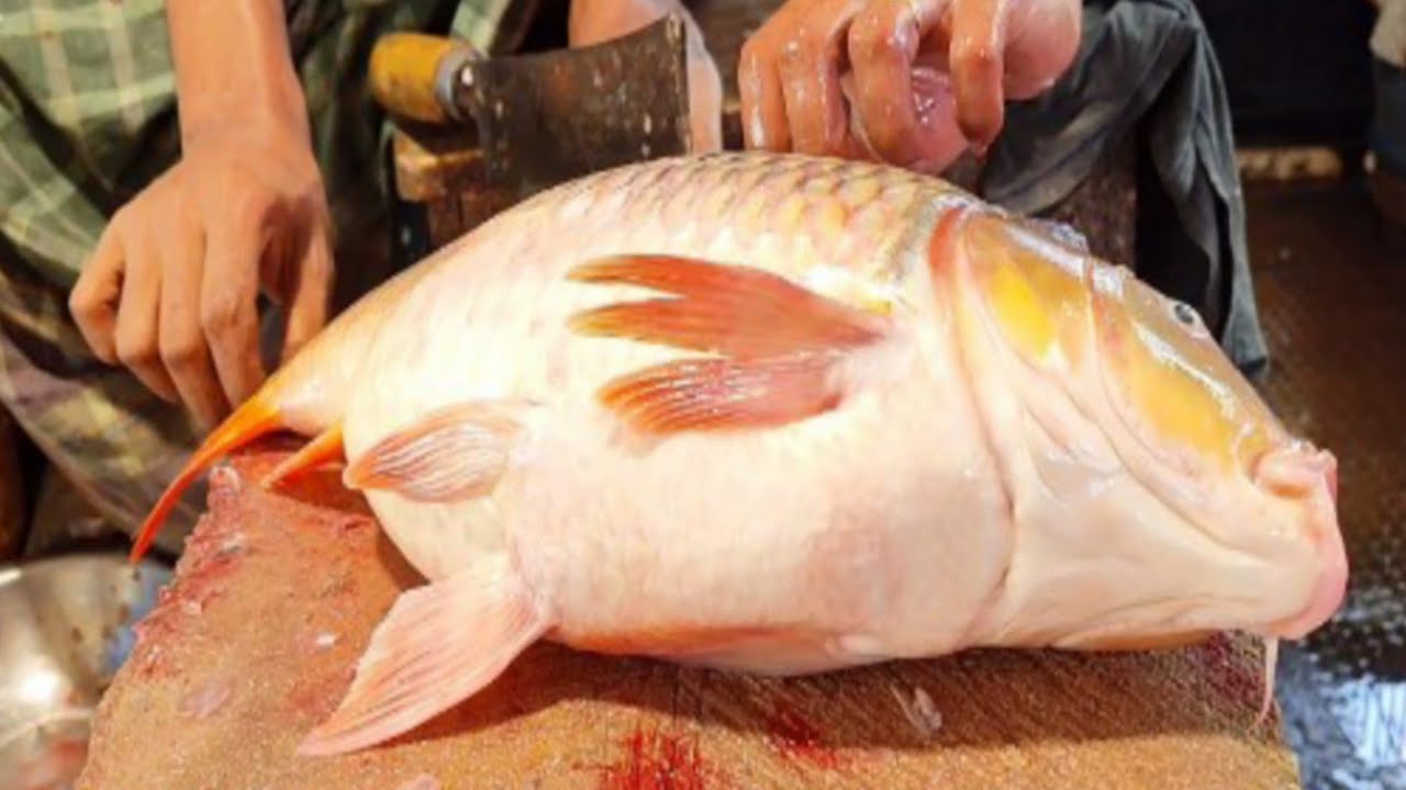 Amazing Carp Fish Cutting Live In Bangladesh Fish Market | Fish Cutting ...