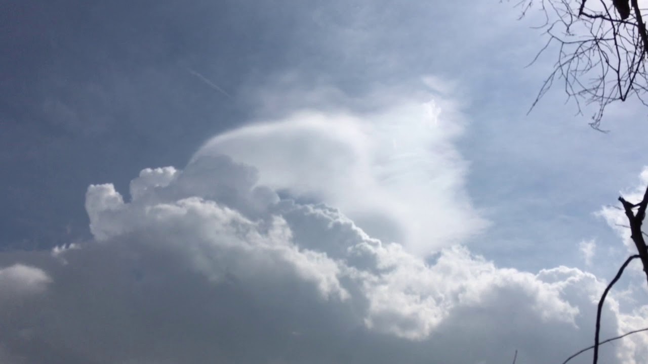 Is This a Chaff Bomb? P5of5 - YouTube