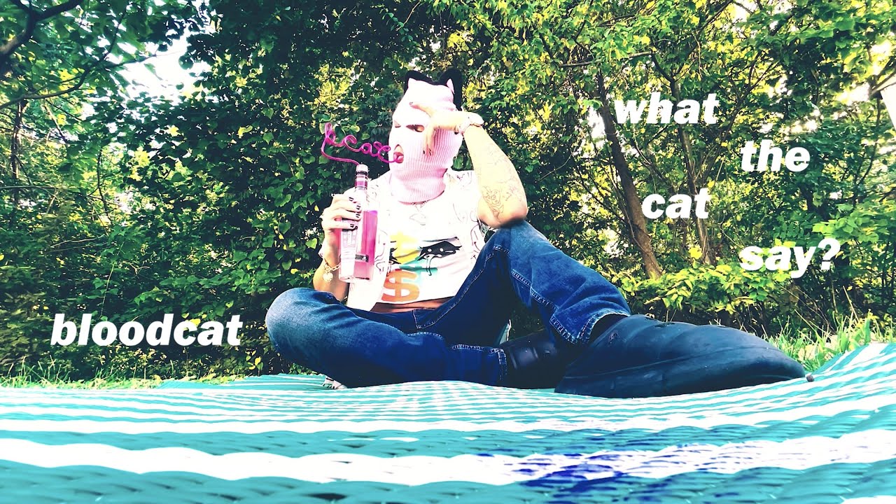 bloodcat - what the cat say? [official music video] - YouTube