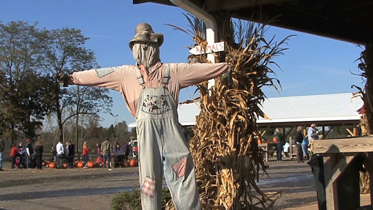 Browne, Robert Stinky Witch - YouTube