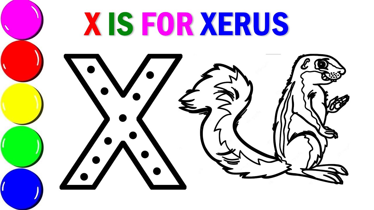 X is For XERUS Drawing, Painting & Coloring for Kids and Toddlers ...