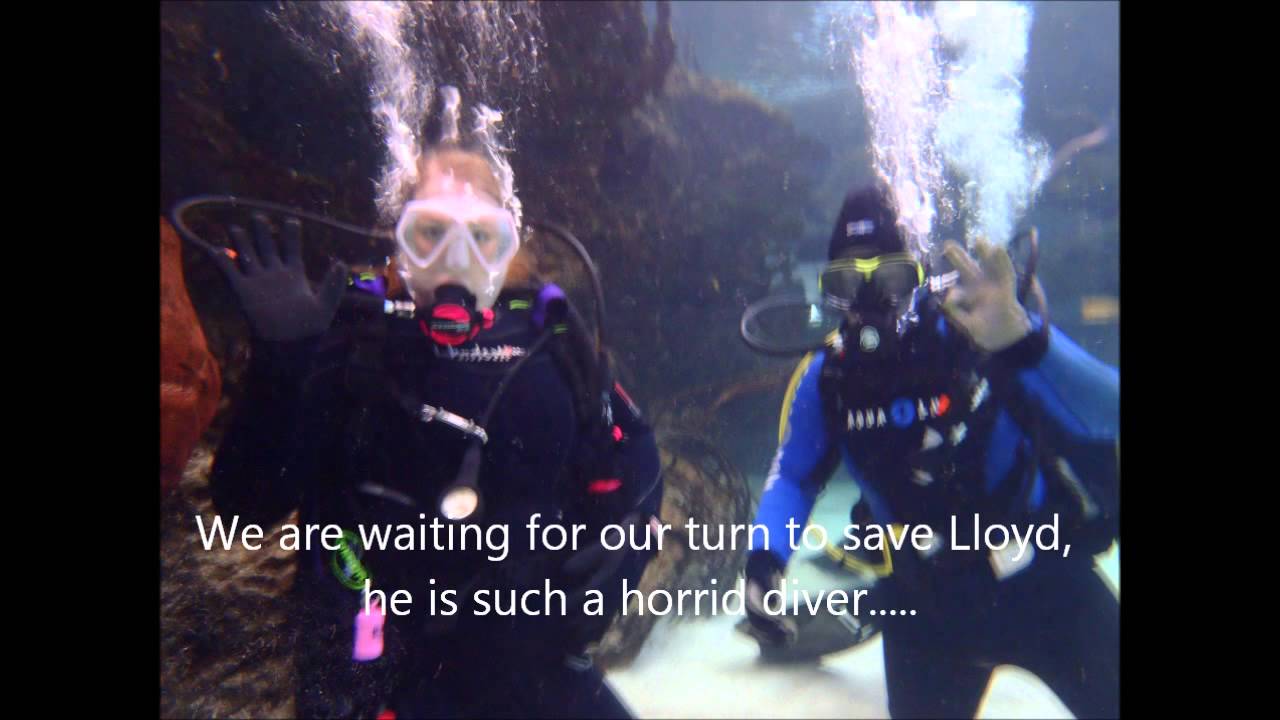 Lloyd the Diving Dummy at the New York Aquarium - YouTube