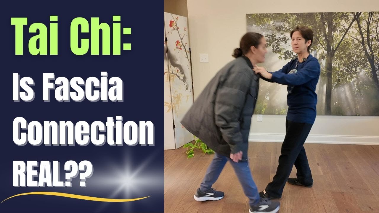 Tai Chi: Is Fascia Connection Real? - YouTube