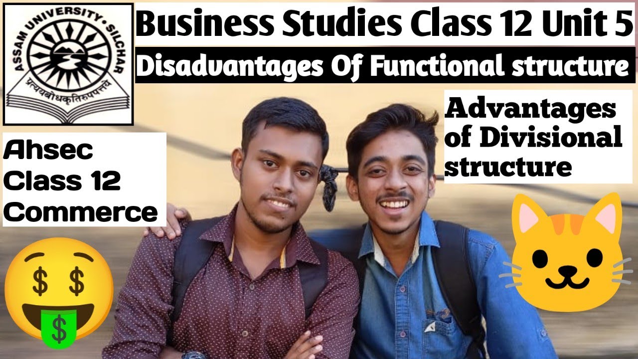Business Studies Class 12 Unit 5 Notes | Disadvantages Of Functional ...